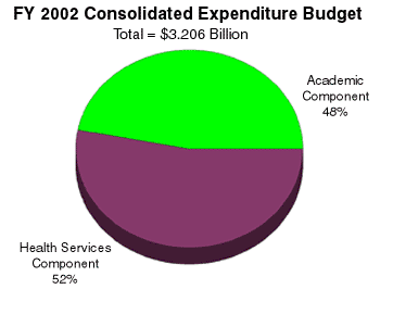4/9/2002, Fiscal Year 2002 Budget: - Almanac, Vol. 48, No. 29