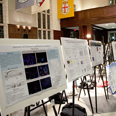 November AT PENN 2024 | University of Pennsylvania Almanac