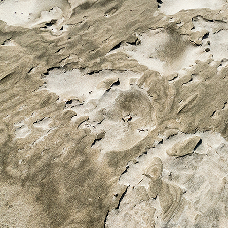 March AT PENN 2020 | University of Pennsylvania Almanac