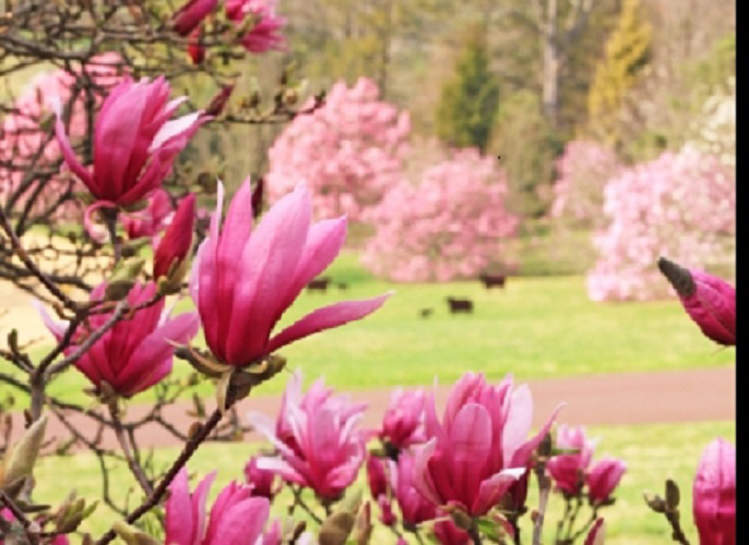 April AT PENN 2024 | University of Pennsylvania Almanac